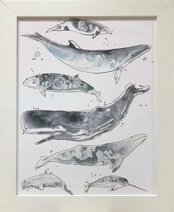 Cetacea II, a Framed Art Print on Paper behind Glass – North American Art