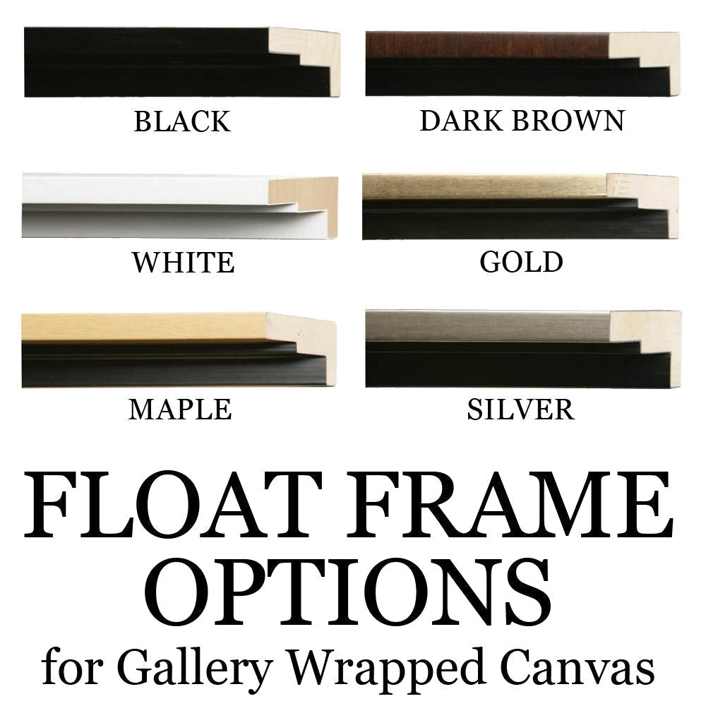 Ballet Hold: Wall art finished to your specifications – North American Art